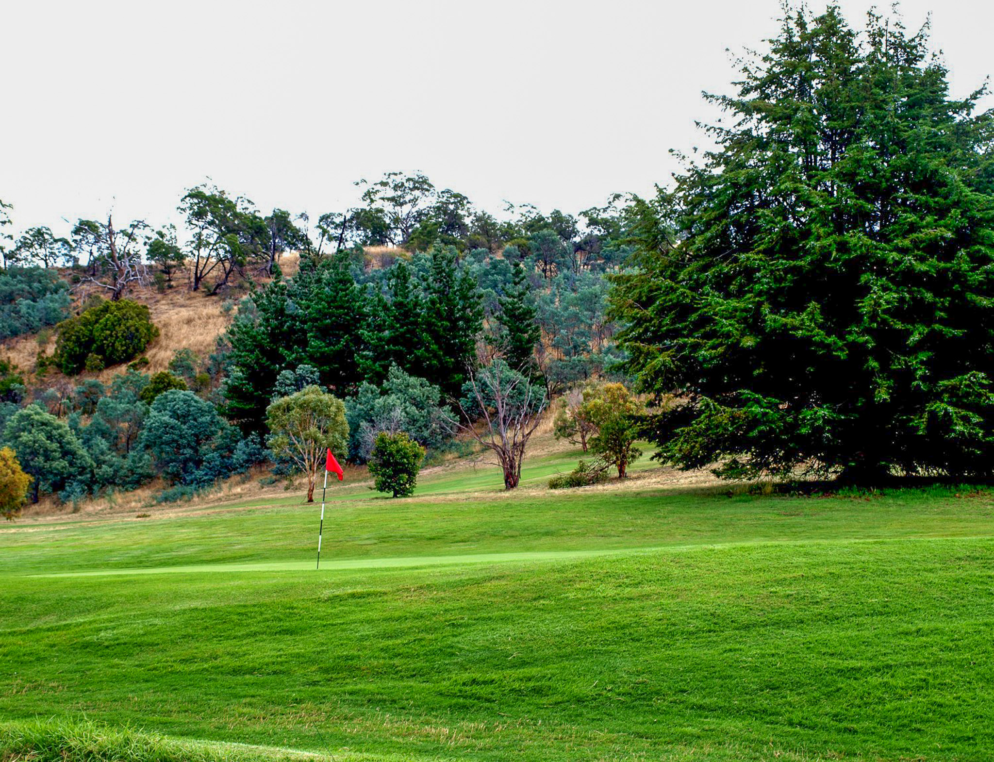 Tea Tree Golf Club - Gallery